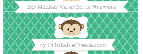 Mint Green Moroccan Tile Boy Monkey Water Bottle Wrappers — Printable ...
