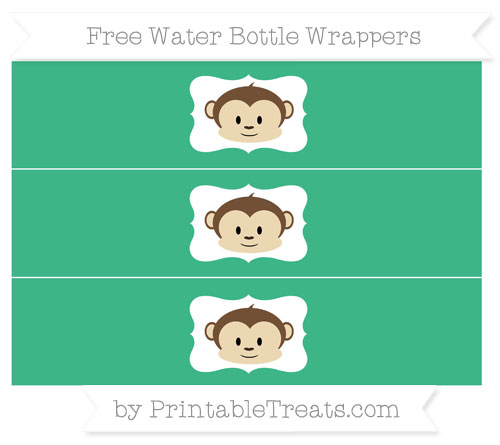 Mint Green Boy Monkey Water Bottle Wrappers — Printable Treats.com